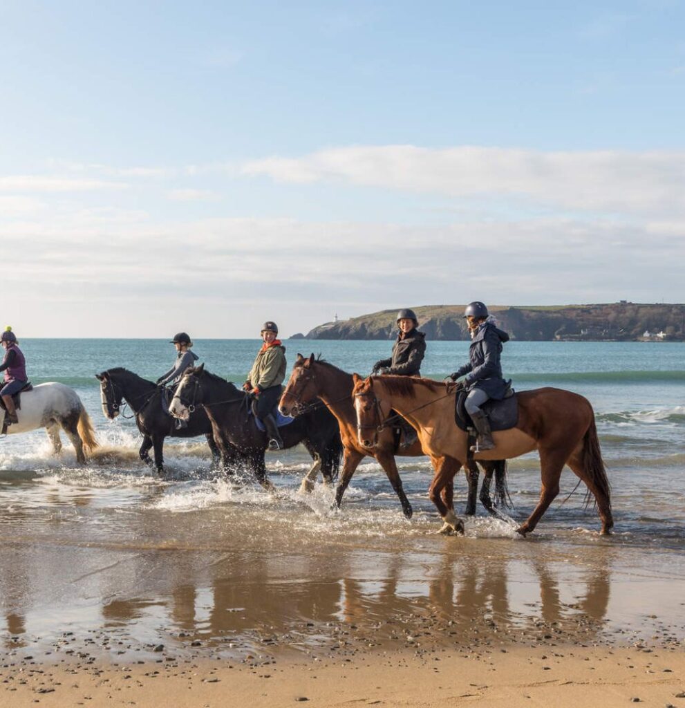 Activities In Cork | Things To Do Around Cork | GN Hotel Cork